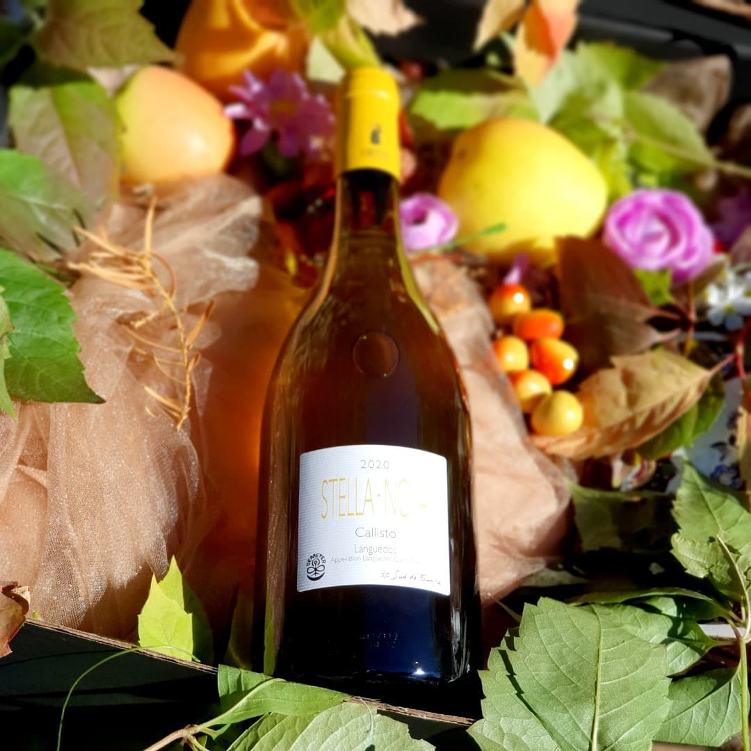 Vin orange : tout savoir sur le vin blanc de macération